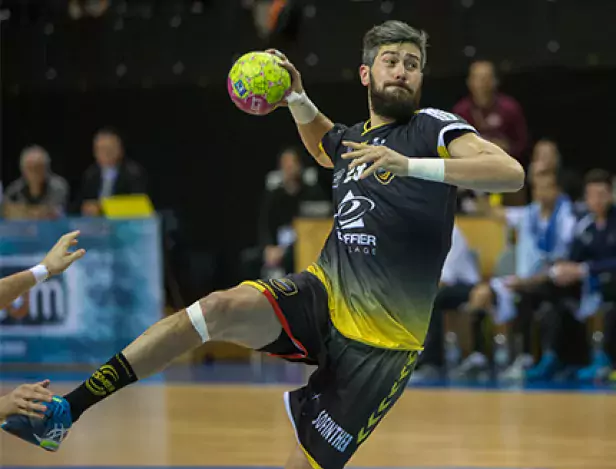 Le Chambéry Savoie Mont Blanc Handball est champion de France ...